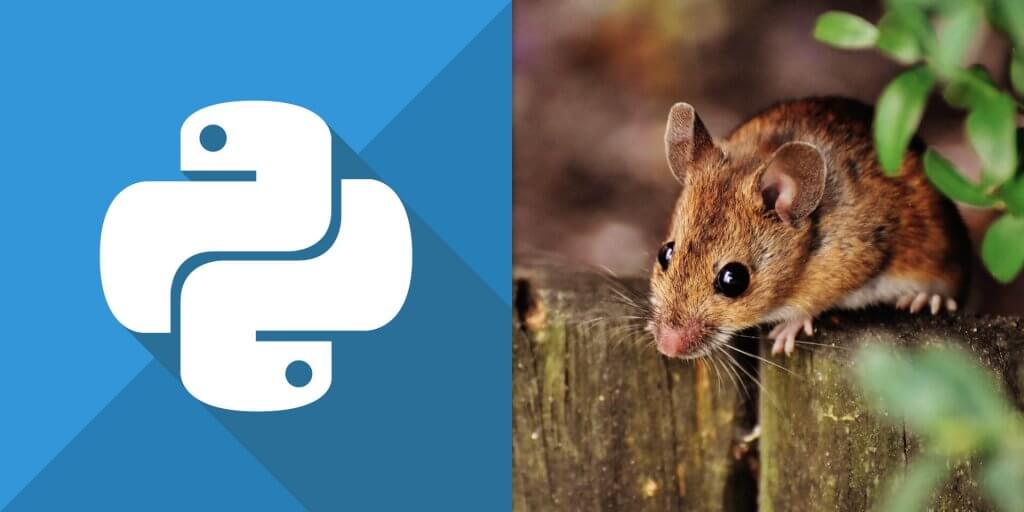 Python SimpleITK 影像處理教學：Allen Mouse Brain Atlas 老鼠標準腦 - Office 指南