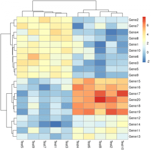 R 使用 pheatmap 套件繪製熱圖 Heatmap 教學與範例 - Office 指南