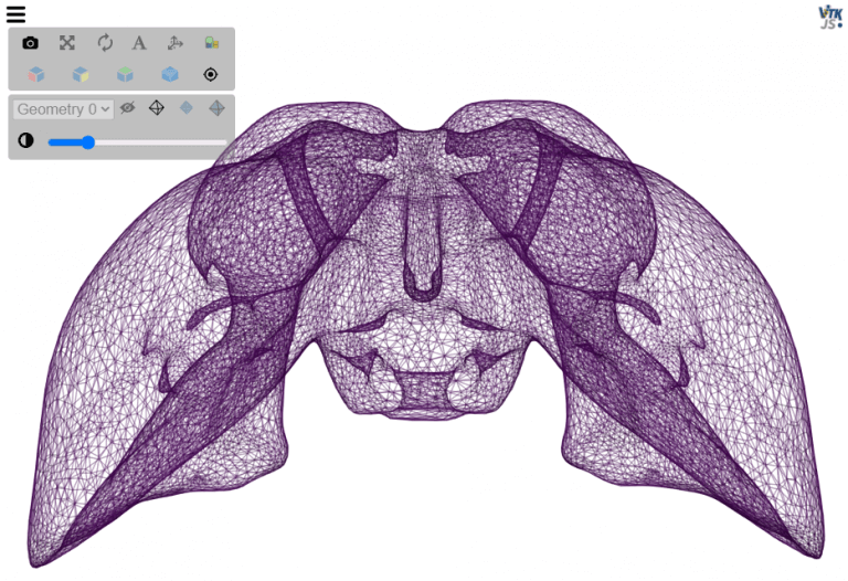 ITK 使用 TriangleMeshToBinaryImageFilter 將 Surface 轉為二元影像教學與範例 - Office 指南