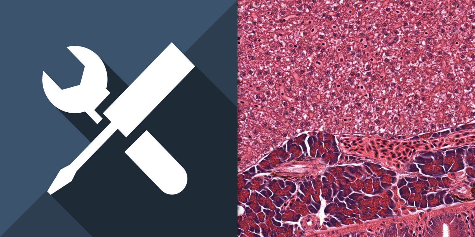 OpenPhi 讀取 PHILIPS iSyntax 數位病理全玻片影像 WSI 教學與範例 - Office 指南