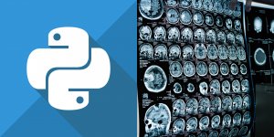 Python 讀取、顯示 NIfTI 影像教學與範例 - Office 指南